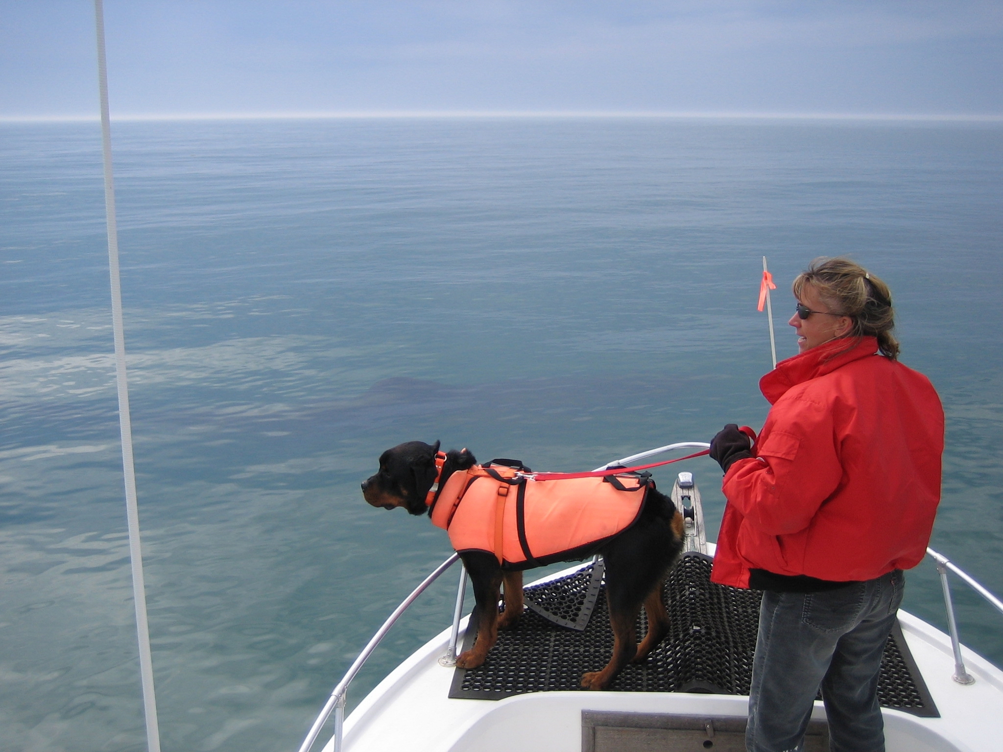 Aquarium whale scientist and veterinarian Rosalind Rolland explores ...