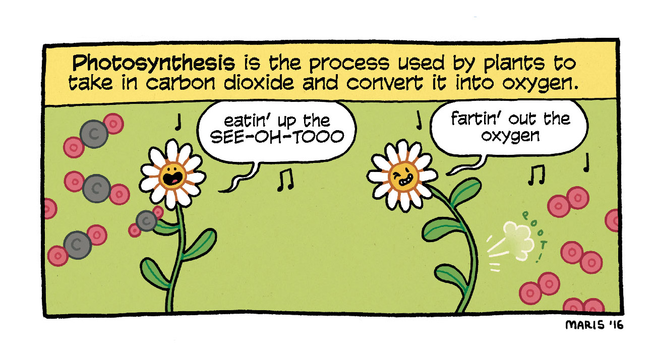 THE BIG DRAW: Science Comics with Maris Wicks [10/08/16]