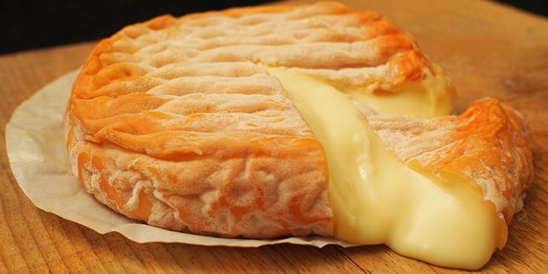 Scary Cheese [10/28/16]