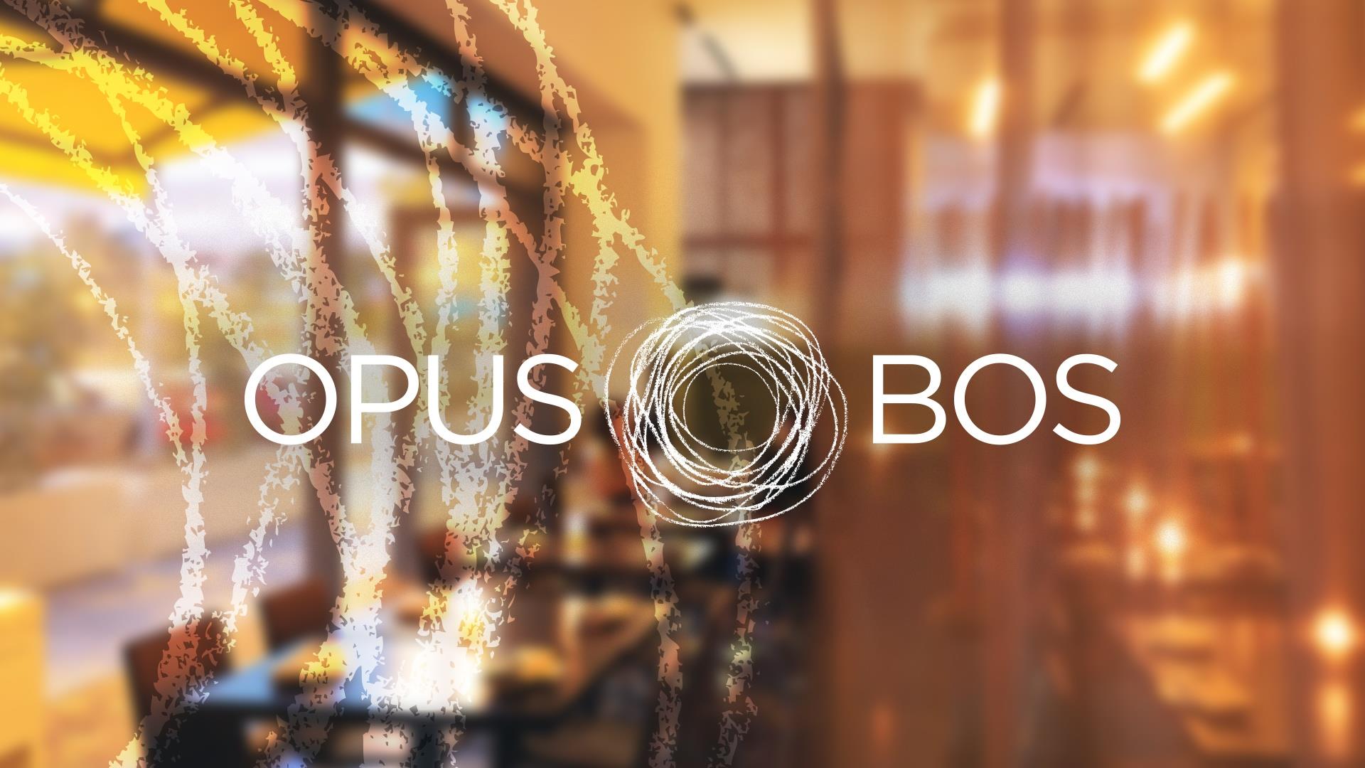 Opus Affair 9th Birthday Party [05/15/17]