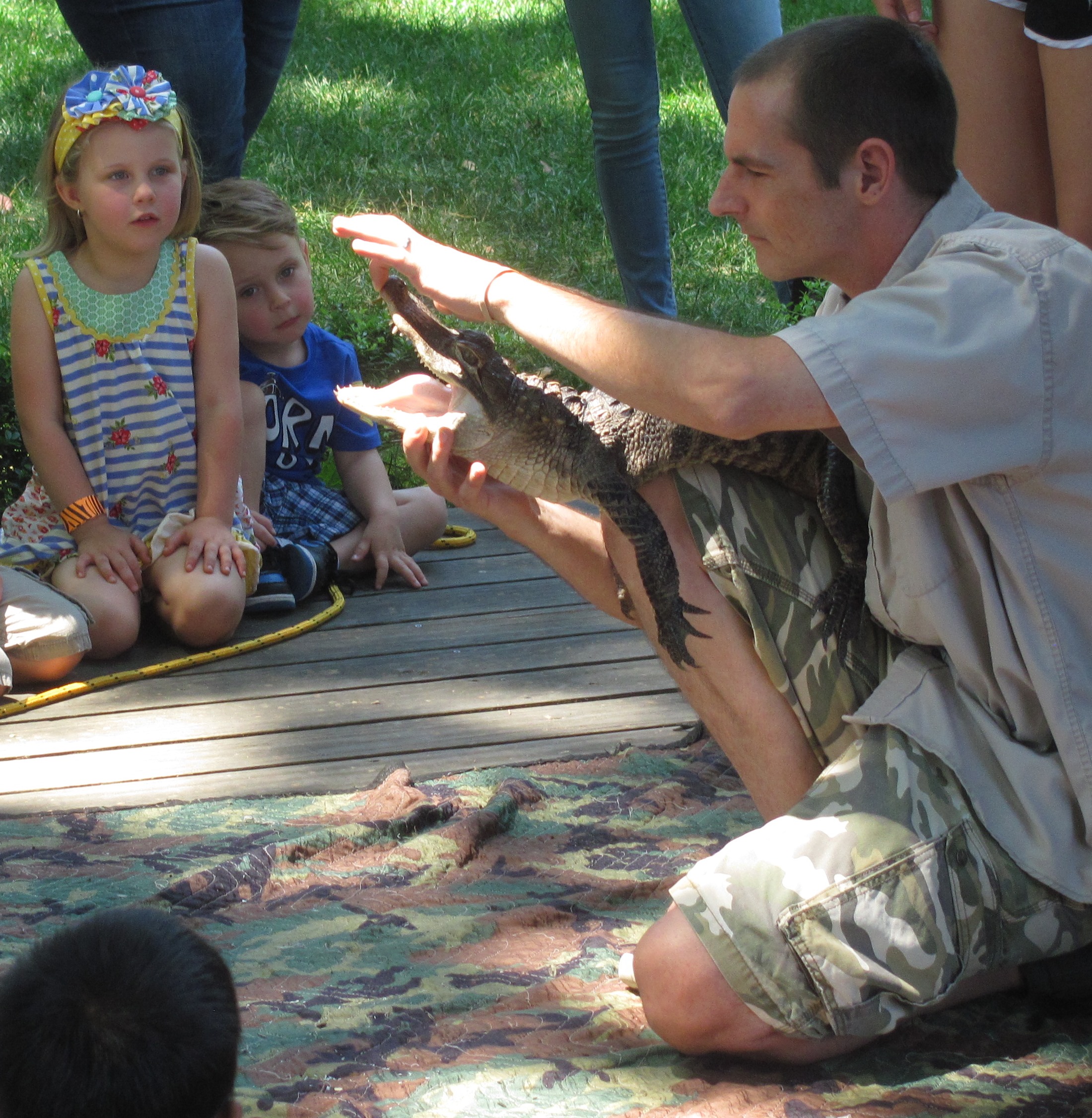 Curious Creatures [07/10/18]