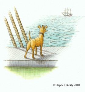 All Paws on Deck! [12/26/18]
