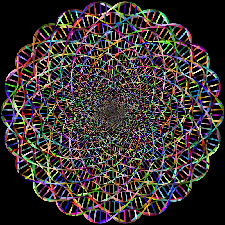 Comparing the DNA Testing Services [05/30/19]