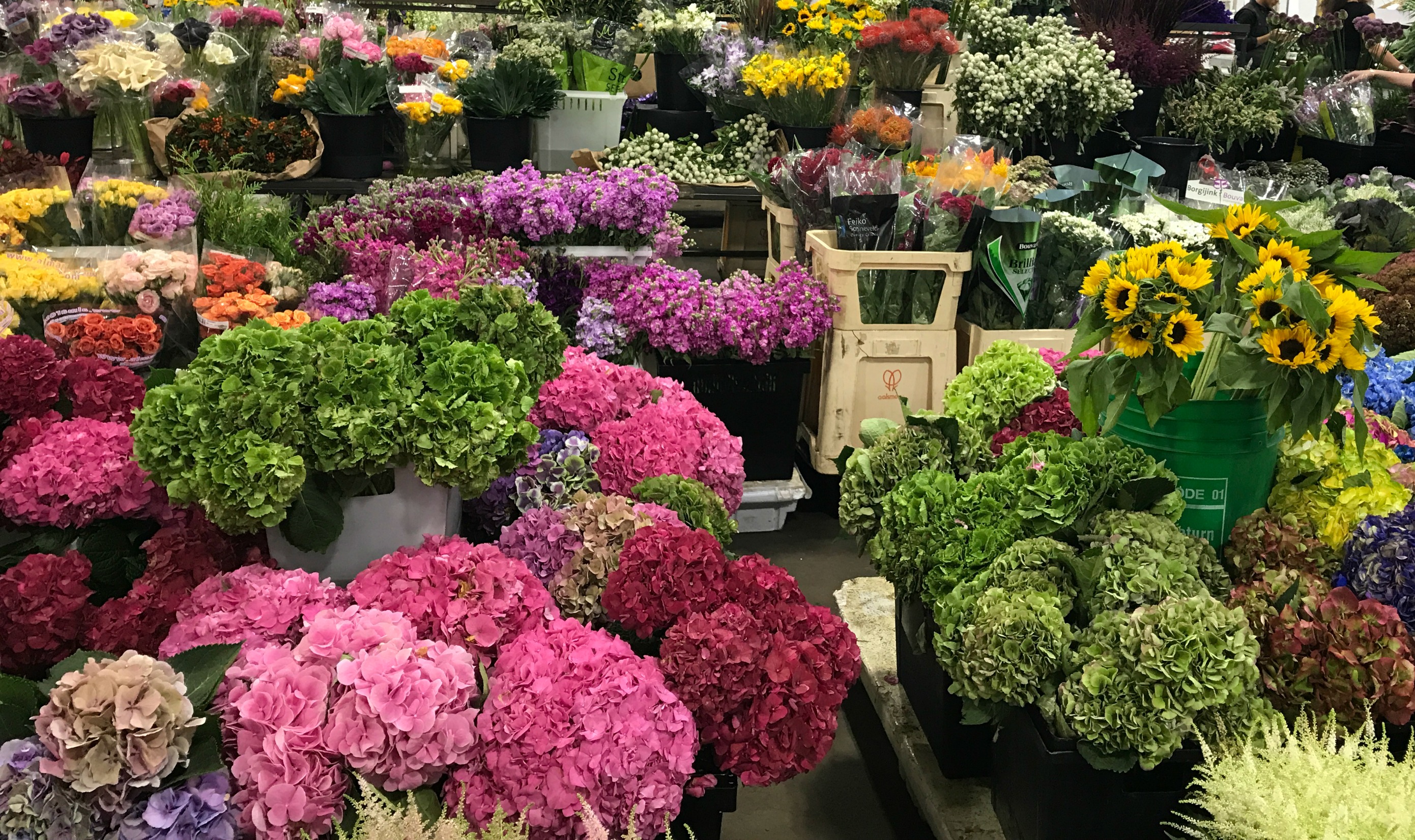 Flower Market Tour & Design Workshop [10/19/19]