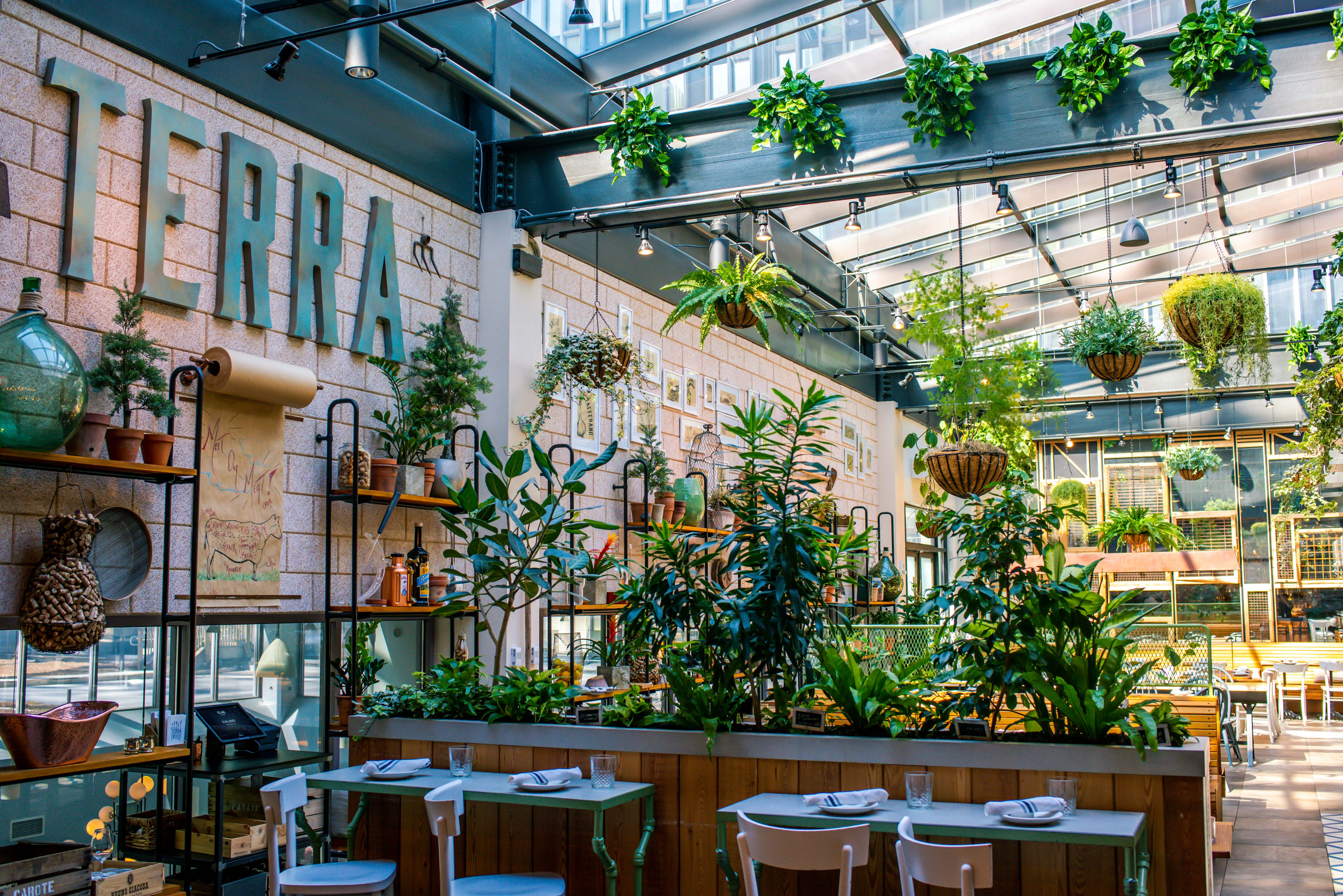 Terra Grill Takeover Party: An Italian Summer Night with Boston's Best ...
