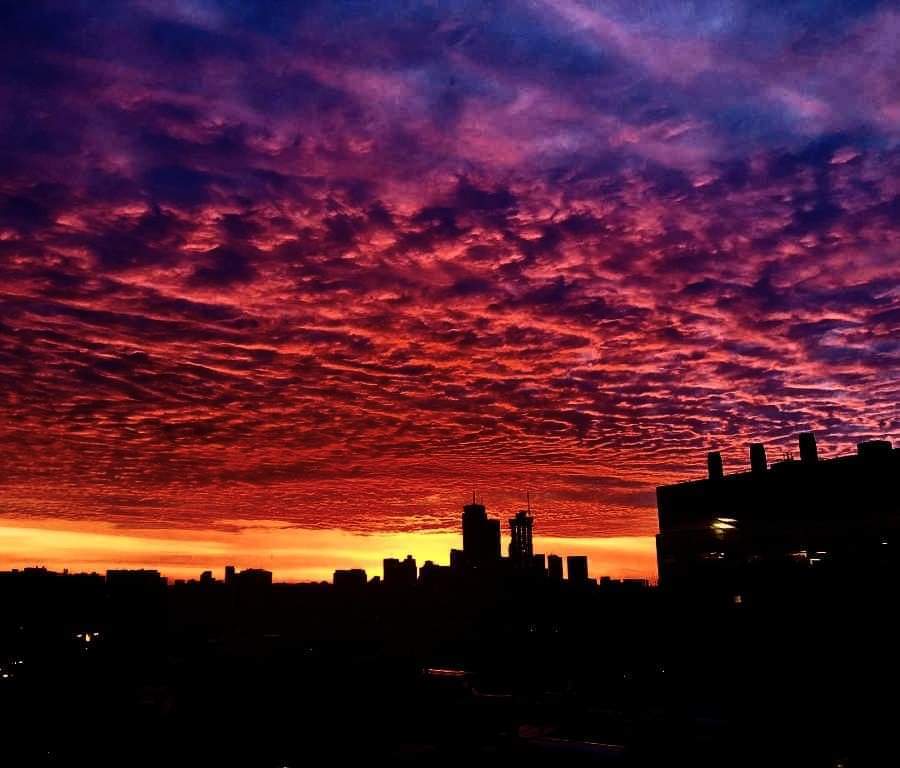 Christian McNeill Boston-Cambridge Musicians Fundraiser [05/11/20]