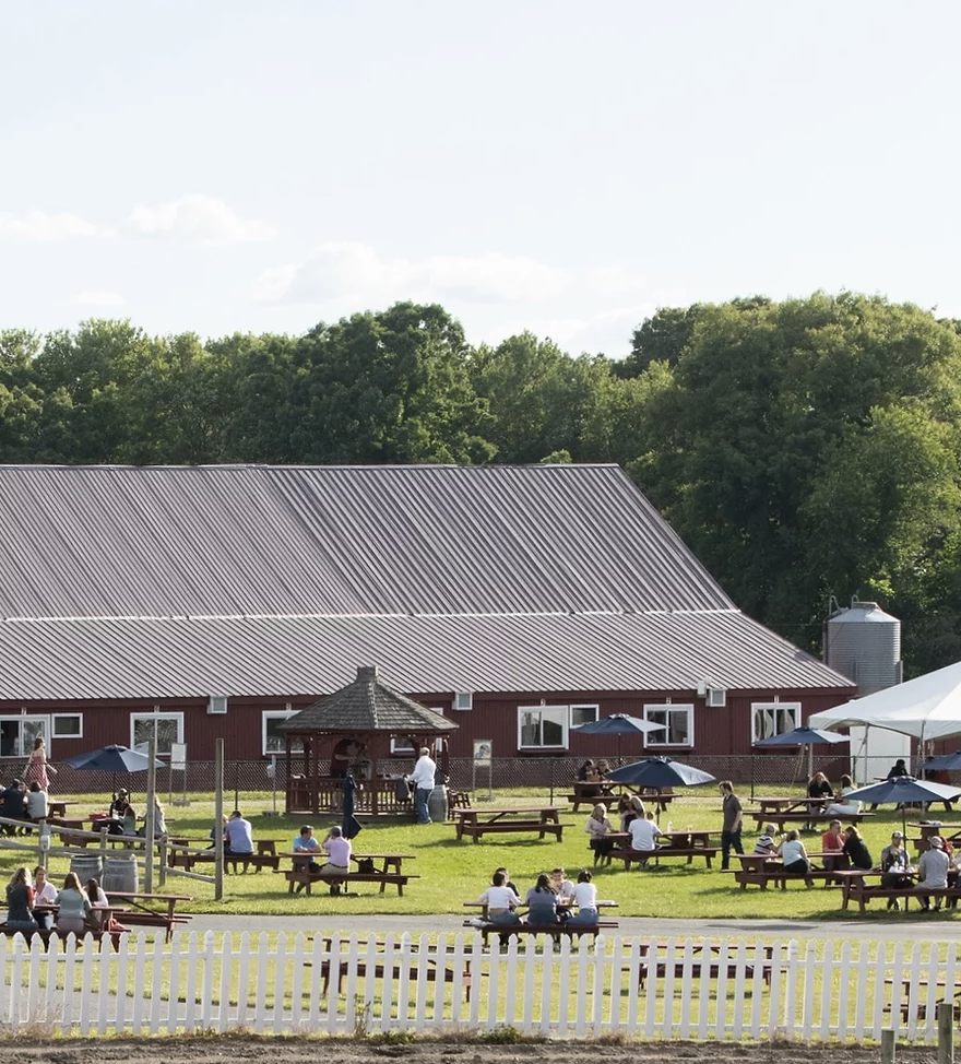 Lookout Farm [09/02/20]