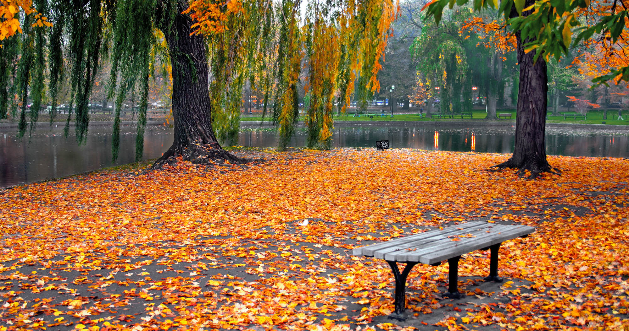 66 things to do in Boston this weekend [11/13/20]