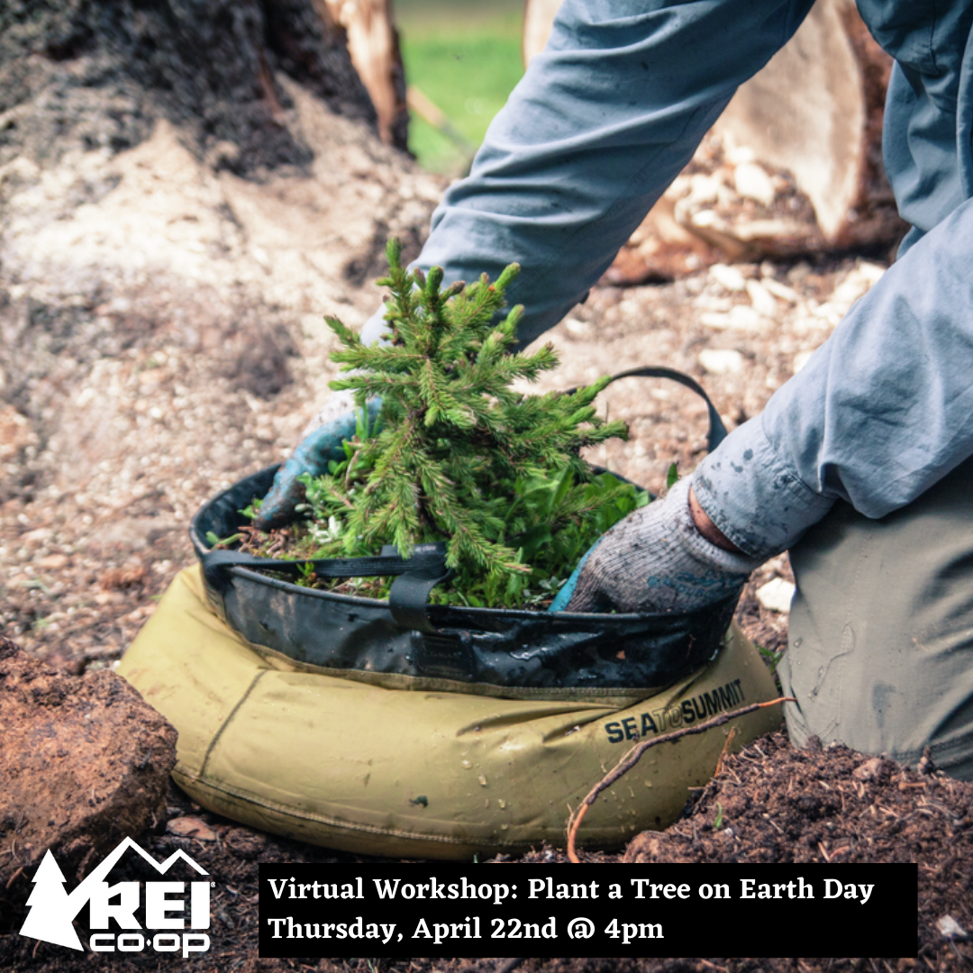 Virtual Workshop: Plant a Tree on Earth Day [04/22/21]