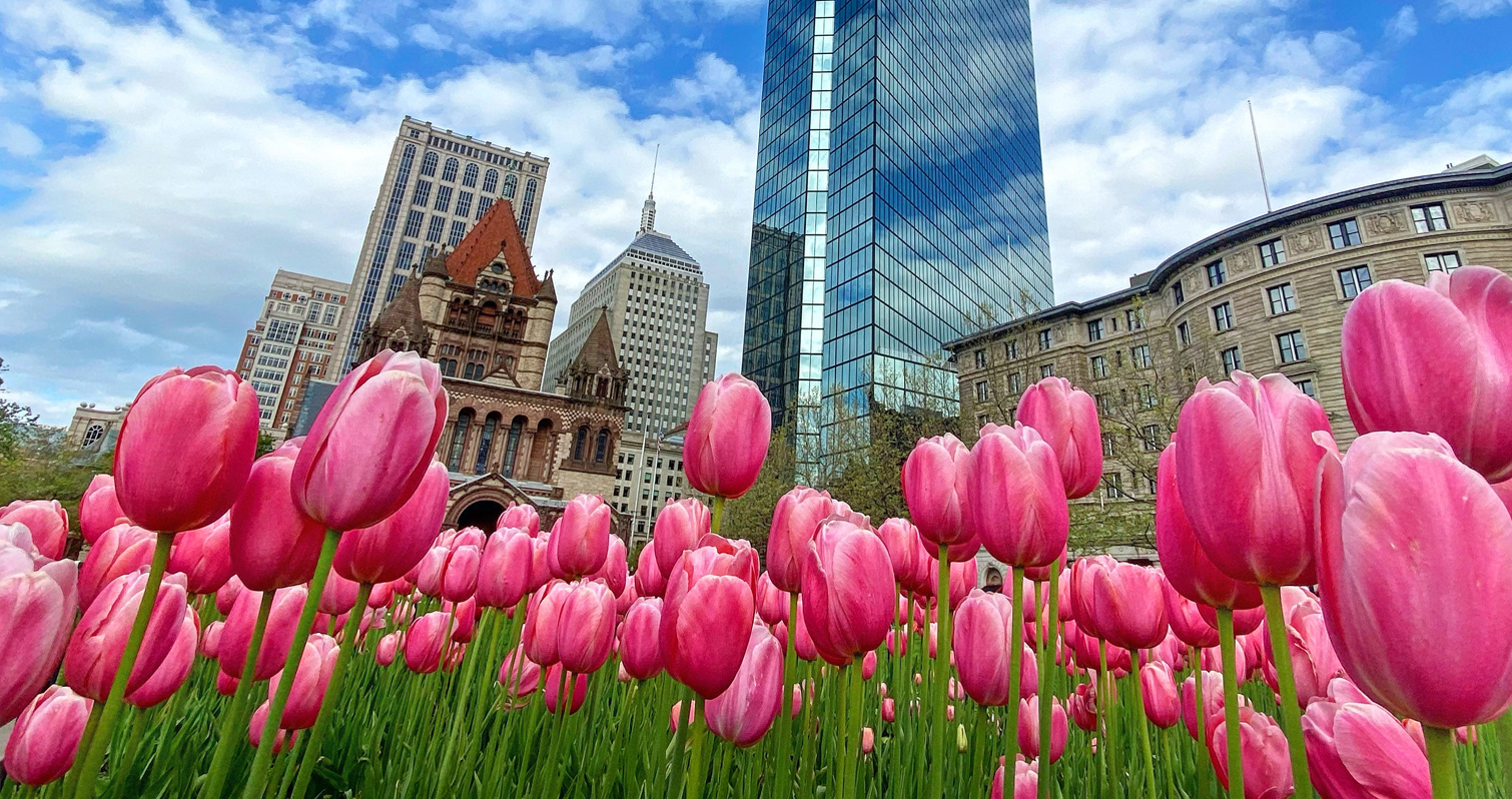 62 things to do in Boston this weekend [04/30/21]