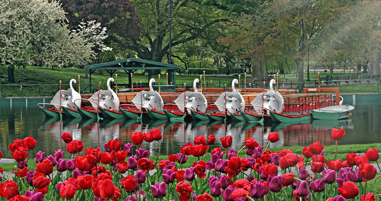 70 things to do in Boston this weekend [05/07/21]