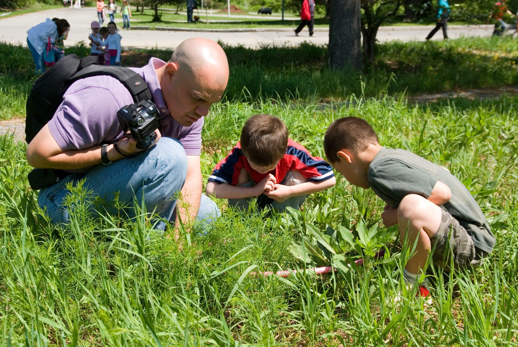 Insect Day [07/10/21]