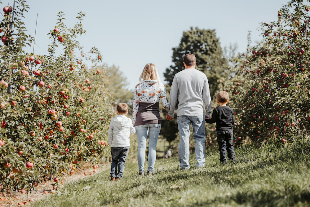 Apple Picking & Fall Happenings at Cider Hill Farm [09/10/21]